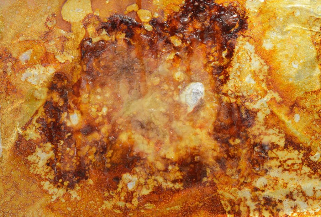 Are you in a FOG about your Plumbing System | St. Matthews Plubming